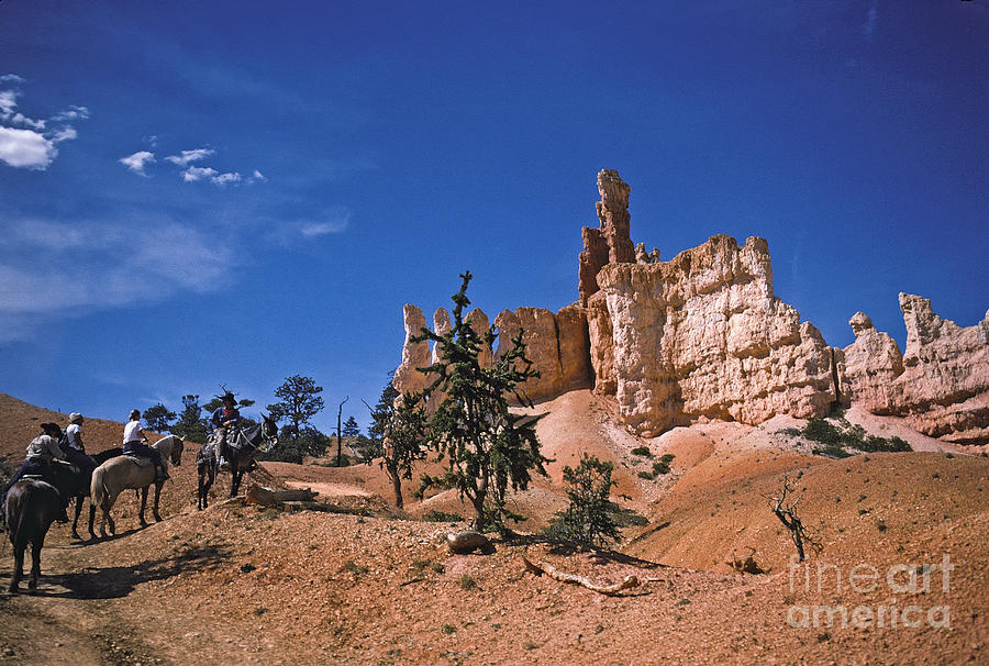 Bryce Canyon Photograph by Howard Stapleton - Fine Art America