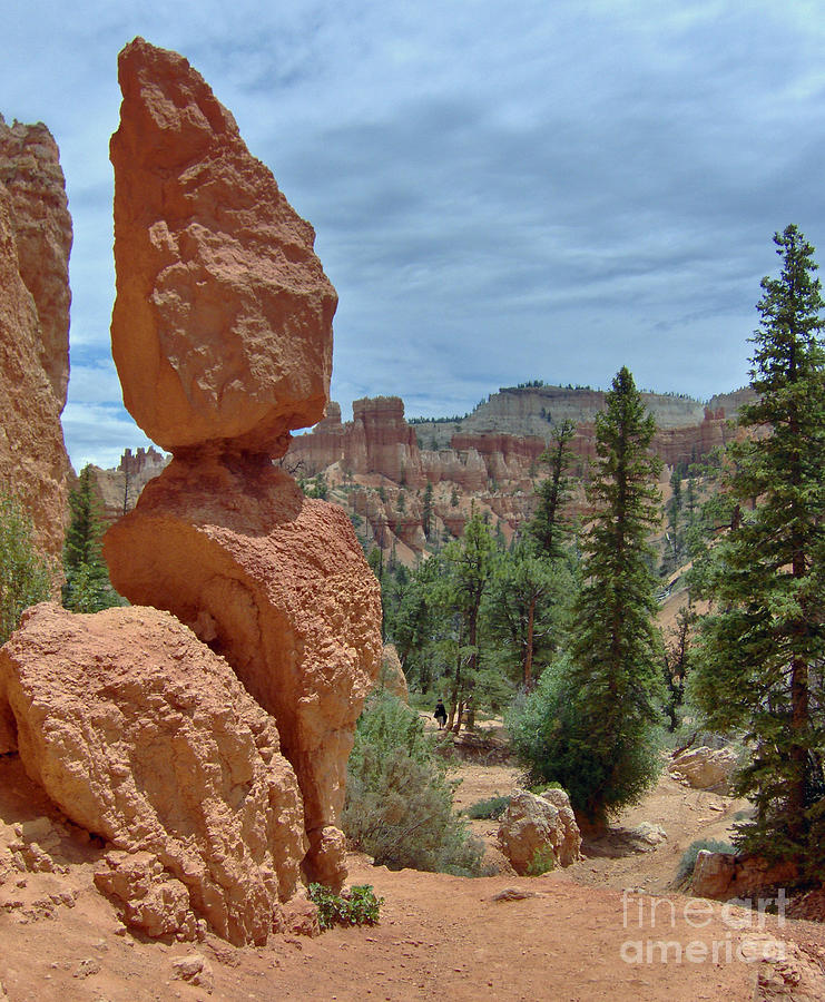 Bryce Choo Photograph by Pane Reframed - Fine Art America