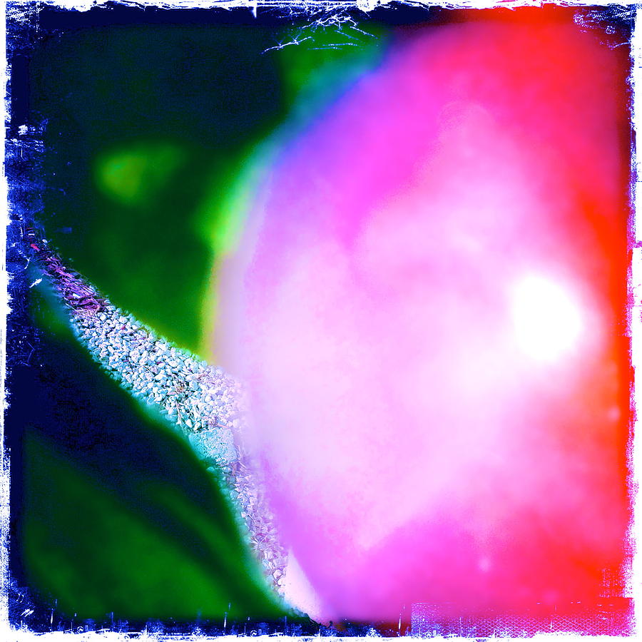 Bubble Photograph by Alya Ali