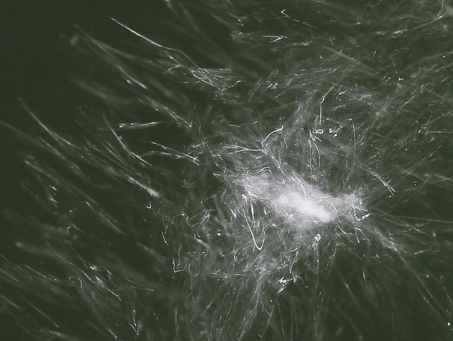 Bubble Explosion Photograph by Cathie Douglas - Pixels