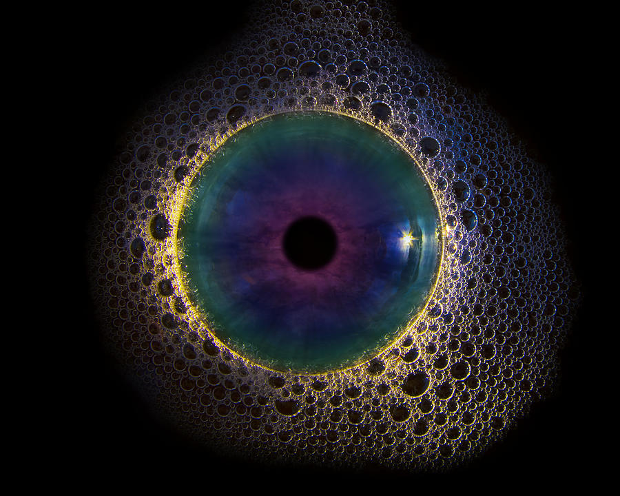 Bubble Eye Photograph by Ric Hornor - Fine Art America