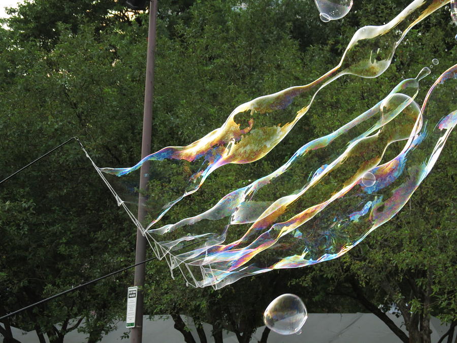 Bubble Fun Photograph by Izzy Pines | Pixels