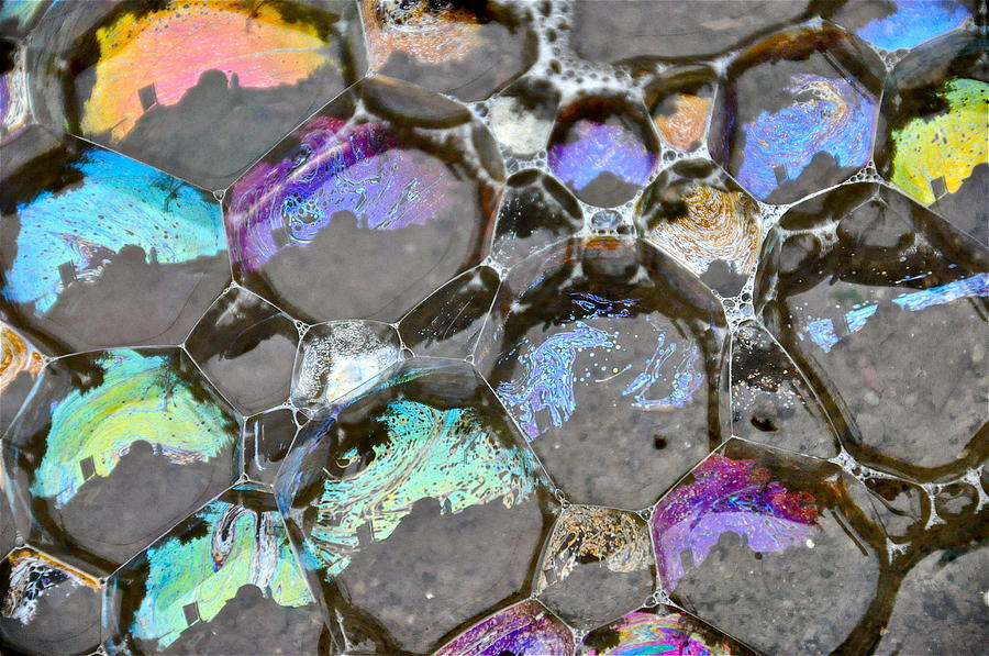 Bubble Pads Photograph by David Flitman - Fine Art America