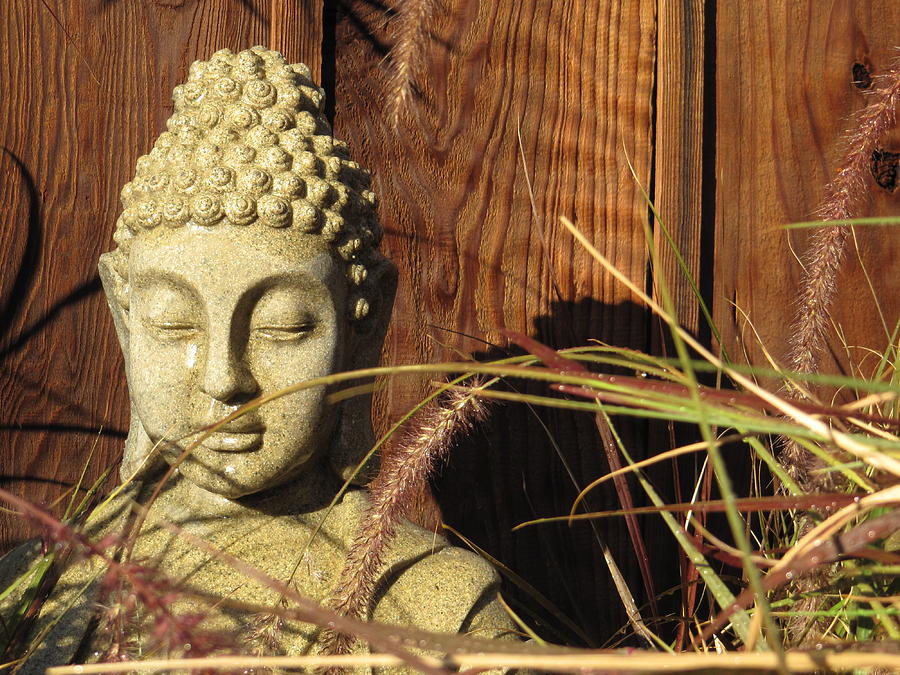 Buddha's Shadow Photograph by Ali Rush - Fine Art America