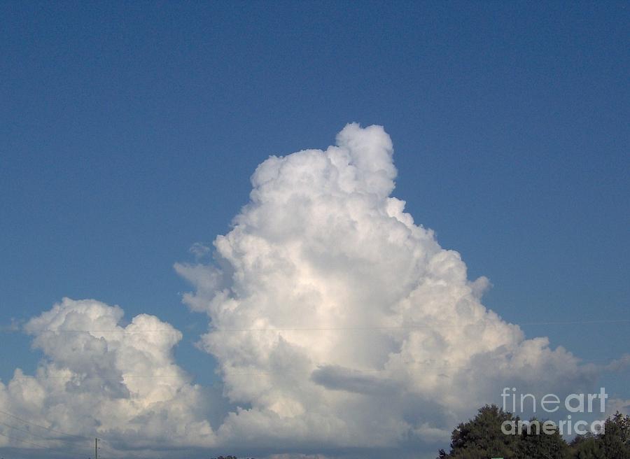 Building A Storm Photograph by D Hackett - Fine Art America