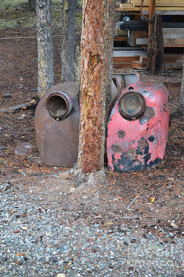 Bumped Photograph by Brian Boyle - Fine Art America