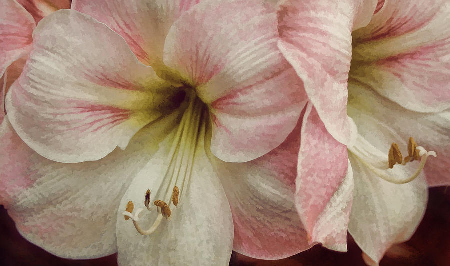 What Is The Definition Of Bunch Up at Dorothy Logan blog