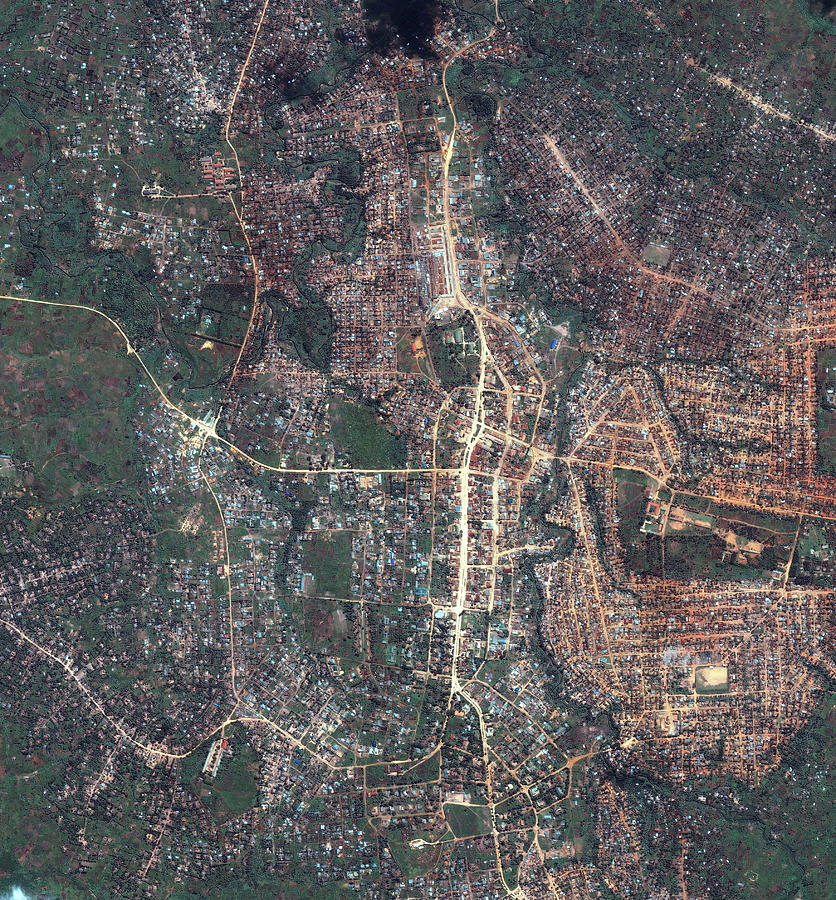 Bunia by Science Photo Library