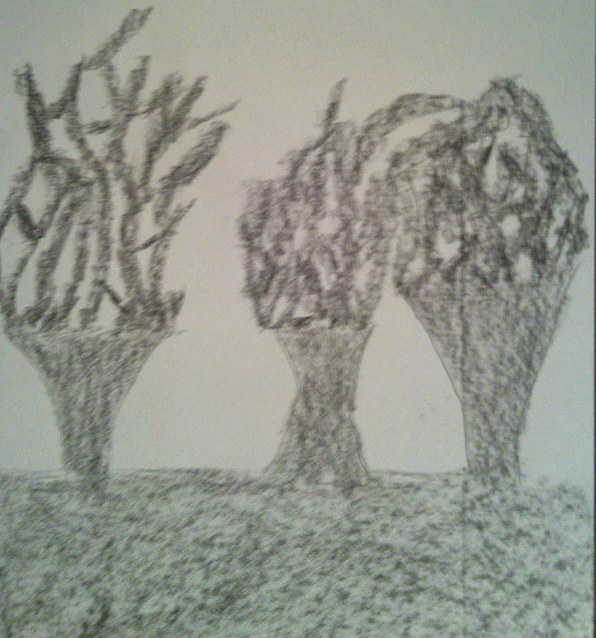 Burnt Trees Drawing by Judith Moore - Fine Art America