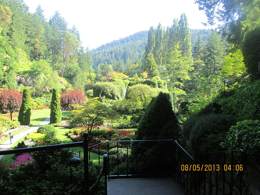 Butchart Photograph by Michael Gregory - Fine Art America