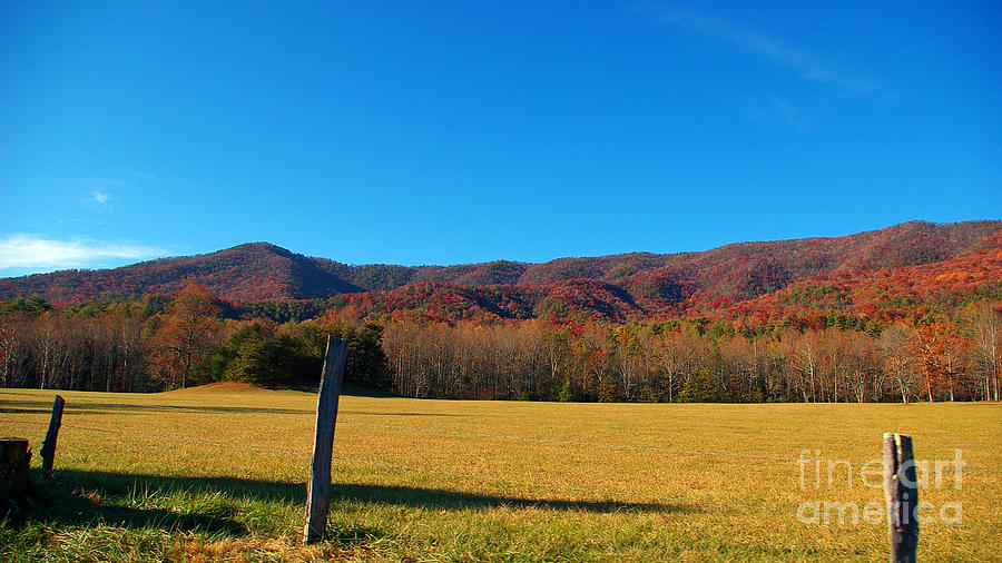 Cades Cove Loop 1 Photograph by Nancy L Marshall - Fine Art America