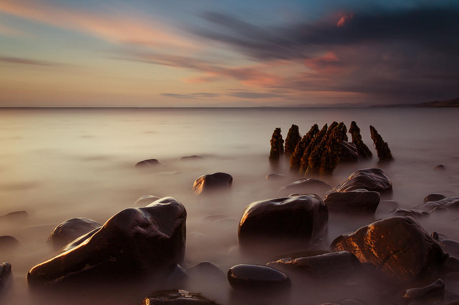 Caged Photograph by Izzy Standbridge - Fine Art America