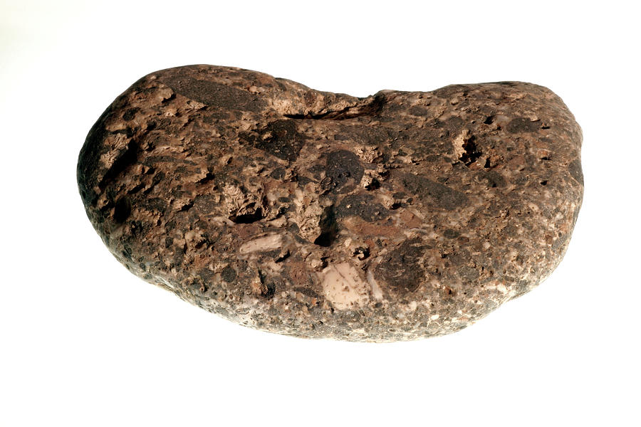 Calcite Conglomerate Photograph by Michael Szoenyi/science Photo ...