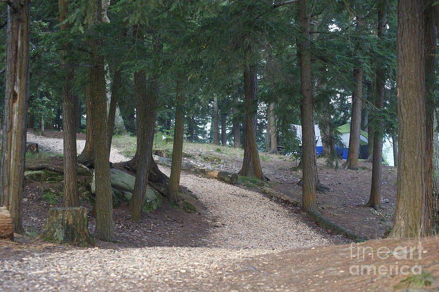 Campground Path Photograph by Elaine Mikkelstrup - Fine Art America