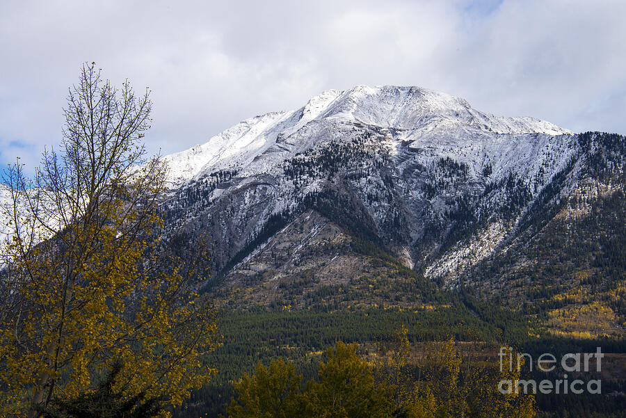 Canmore Rocky Mountain View Photograph by Bob Phillips - Pixels