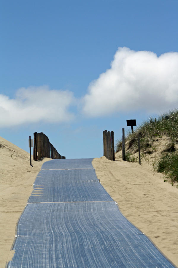 Cape Cod Beach Path Photograph by Terry Decker - Fine Art America