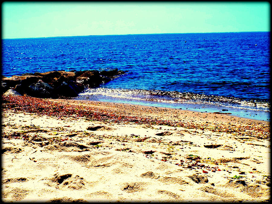 Cape Cod Shell Lined Beach Photograph by Rebecca Malo - Fine Art America