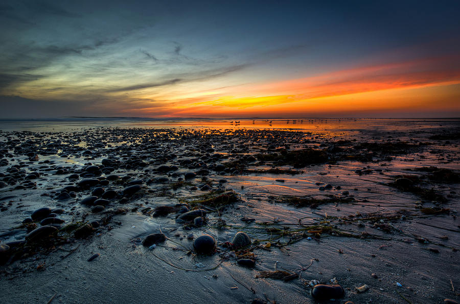 Cardiff Reef Photograph by Brian Hayashi | Fine Art America