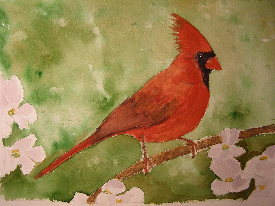 Cardinal Painting by Elizabeth Lewandowski - Fine Art America