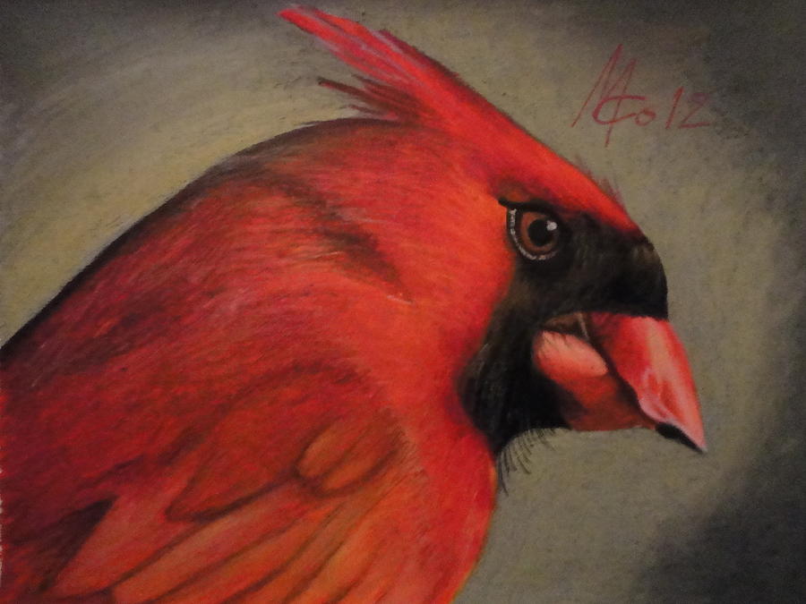 Cardinal Pastel by Michael Co - Fine Art America