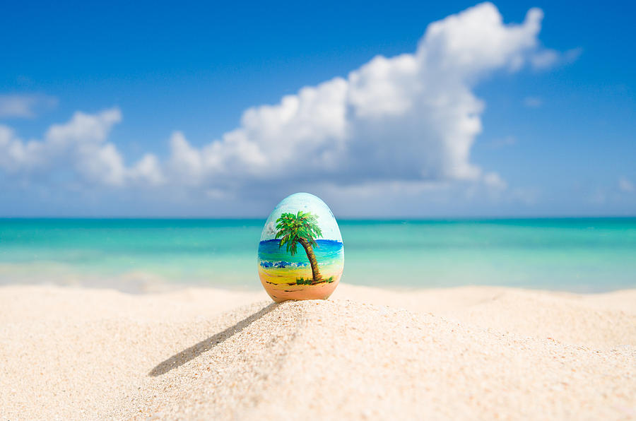 Caribbean Easter Egg Photograph by Ferry Zievinger