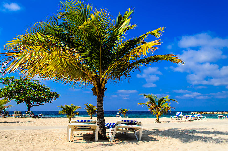 Caribbean Paradise Photograph by Joseph Plotz - Fine Art America
