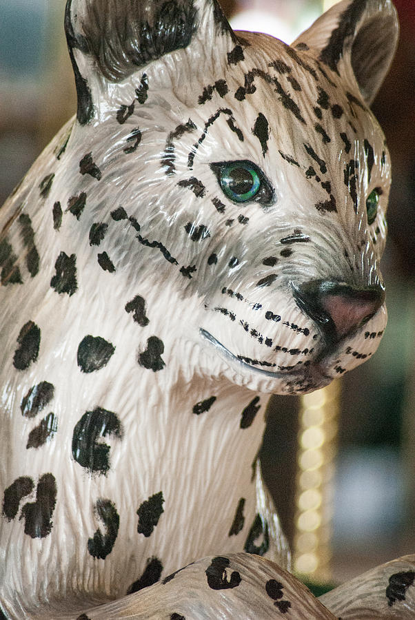 Carousel Leopard Photograph by Roger Lapinski - Fine Art America