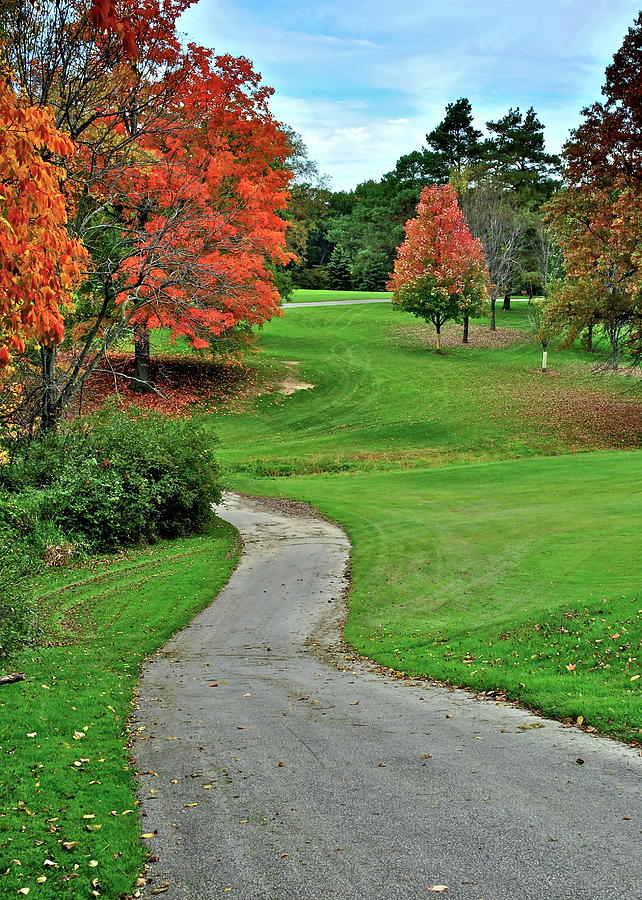 Cart Path Photograph by Frozen in Time Fine Art Photography - Fine Art ...