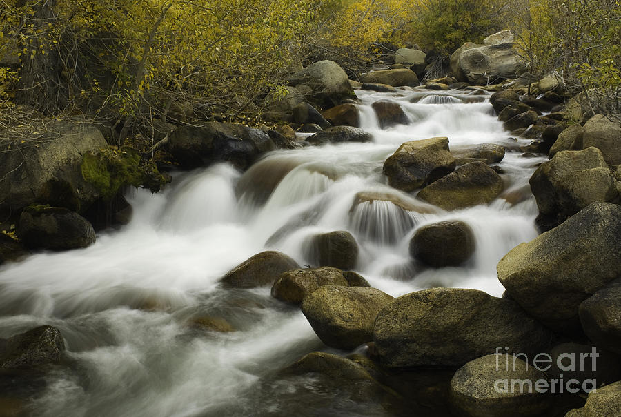 Cascading Stream Photograph by John Shaw - Fine Art America