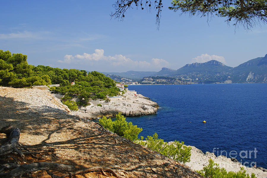 Amazing coast of Cassis on french riviera Photograph by Maja Sokolowska