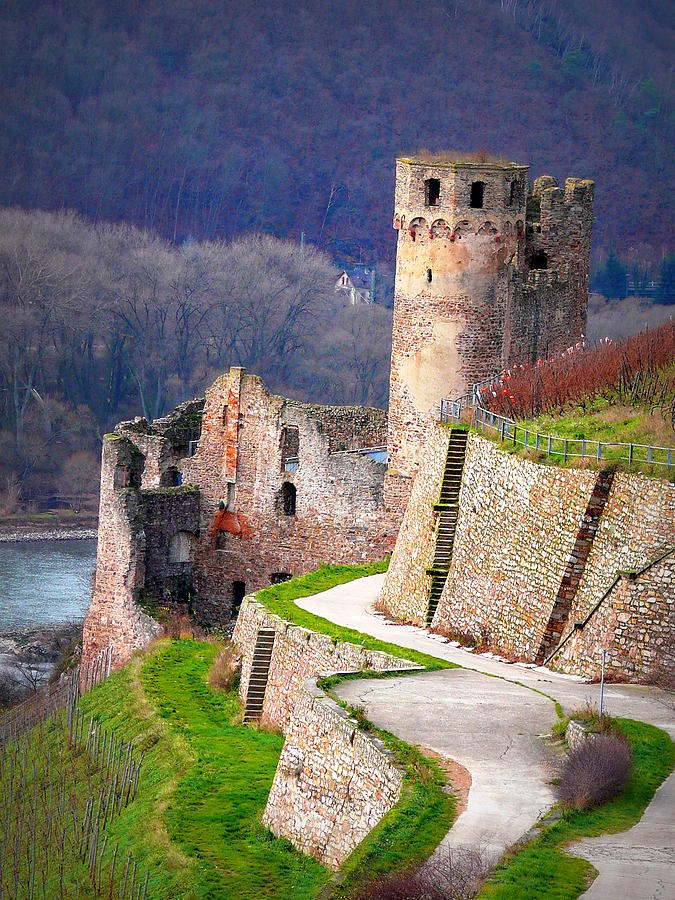 Castle Path Photograph by Rebecca Davis - Fine Art America