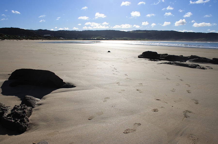 Catlins Beach Photograph by Lucy Tasker - Fine Art America