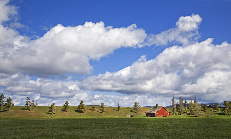 Cattle Ranch Barn Photograph by Buddy Mays - Pixels