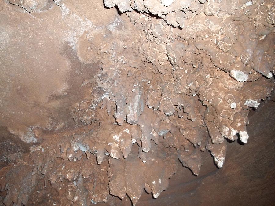 Cave Ceiling Photograph by James Potts - Pixels