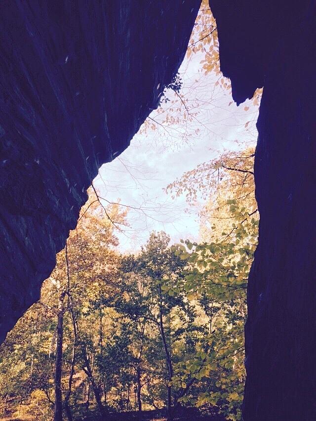 Cave View Photograph by Anna Willard | Fine Art America