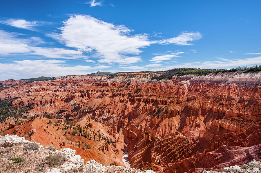 Cedar Breaks National Monument, Dixie Photograph by Michael Defreitas ...