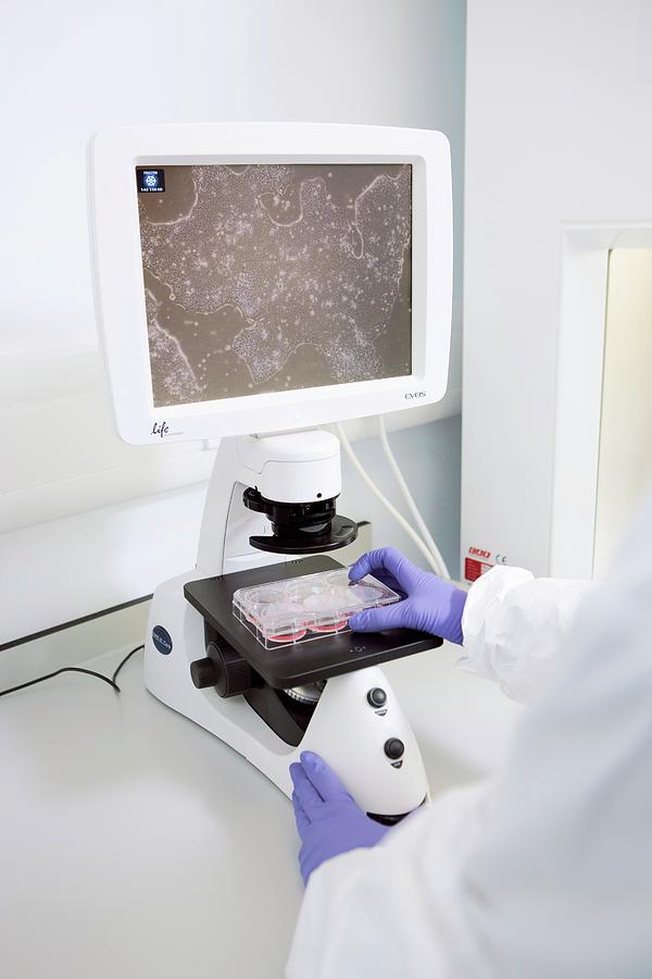 Cell Imaging Microscope by Science Photo Library