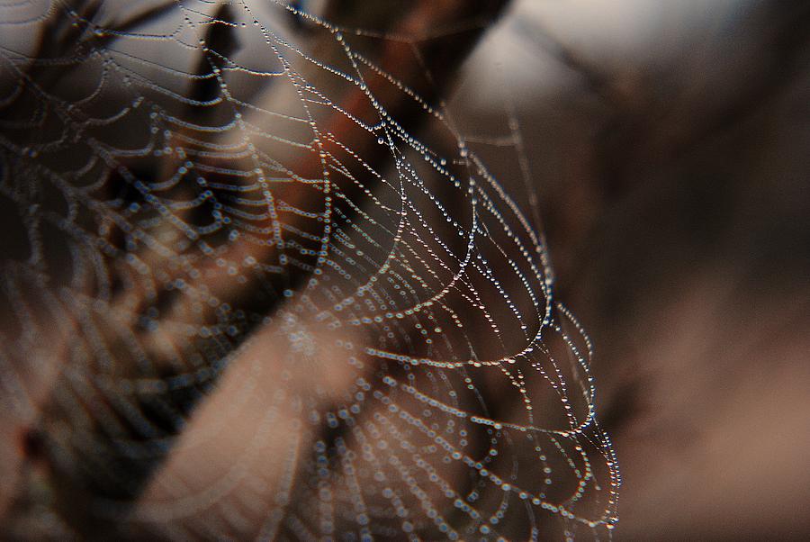 Cemetery Photograph by John Blanchard - Pixels