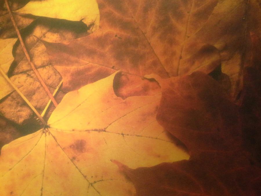 Changes Painting by Deborrah Ann Stenberg