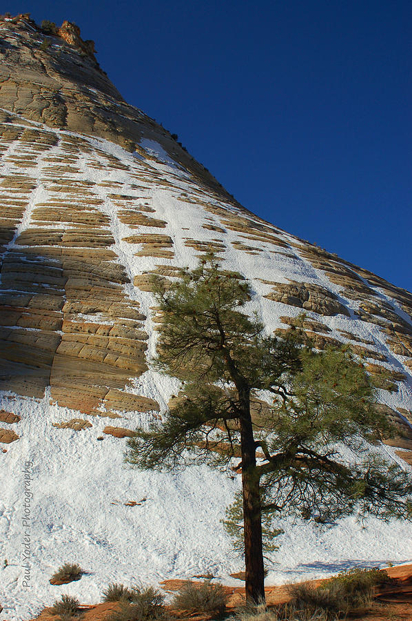 Checkerboard Mesa Photograph by Paul Yoder - Fine Art America