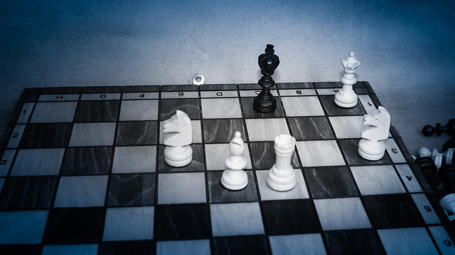Checkmate Photograph by David Jones - Fine Art America