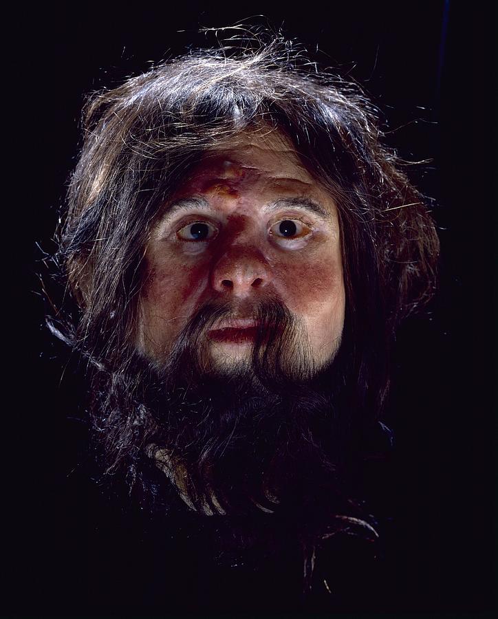 Cheddar man reconstruction Photograph by Science Photo Library - Fine ...