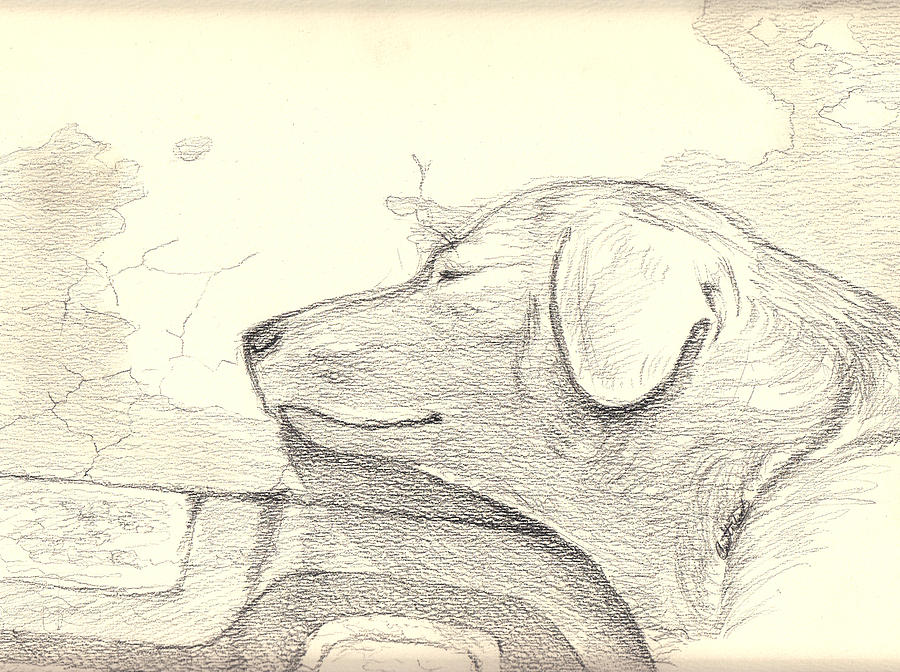 Cheech Drawing by Curtis Durden - Fine Art America