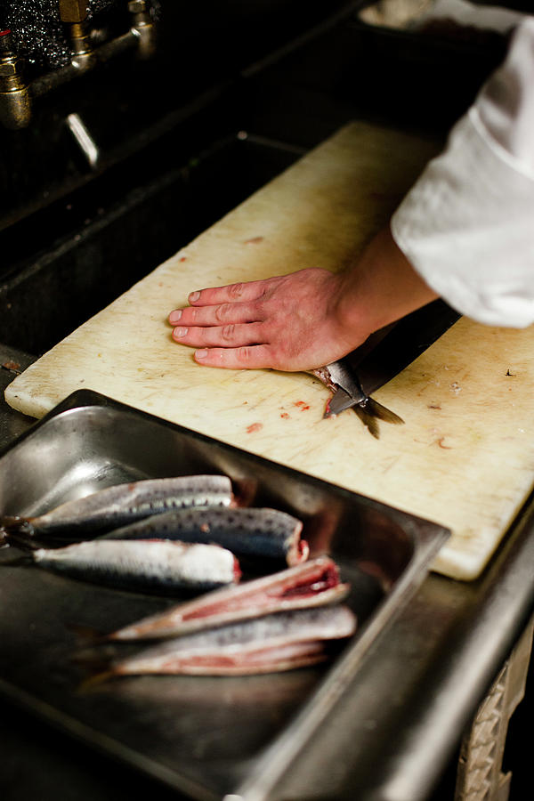 Chef Preparing Fish On A Kitchen Counter Photograph by Robert Benson ...