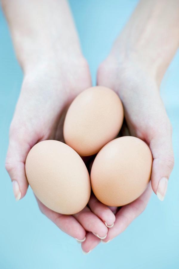 Chicken Eggs by Science Photo Library