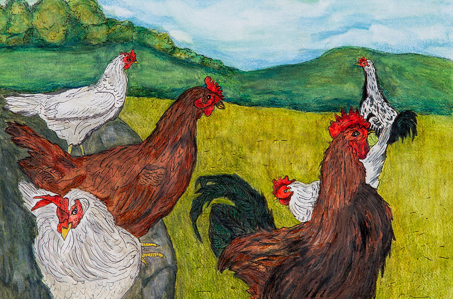 Chicken Flock Drawing by Sandee Johnson - Fine Art America
