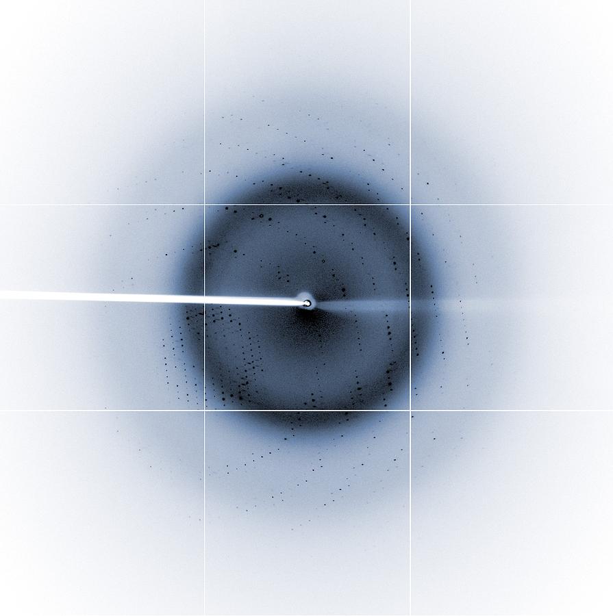 Chikungunya virus diffraction pattern Photograph by Science Photo ...