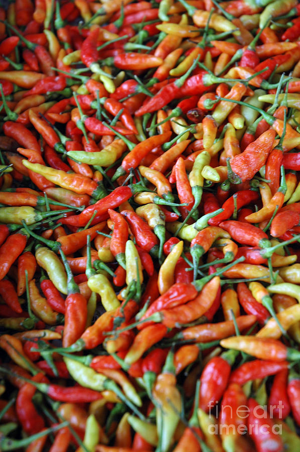 Chilli Background Photograph by Antoni Halim - Pixels