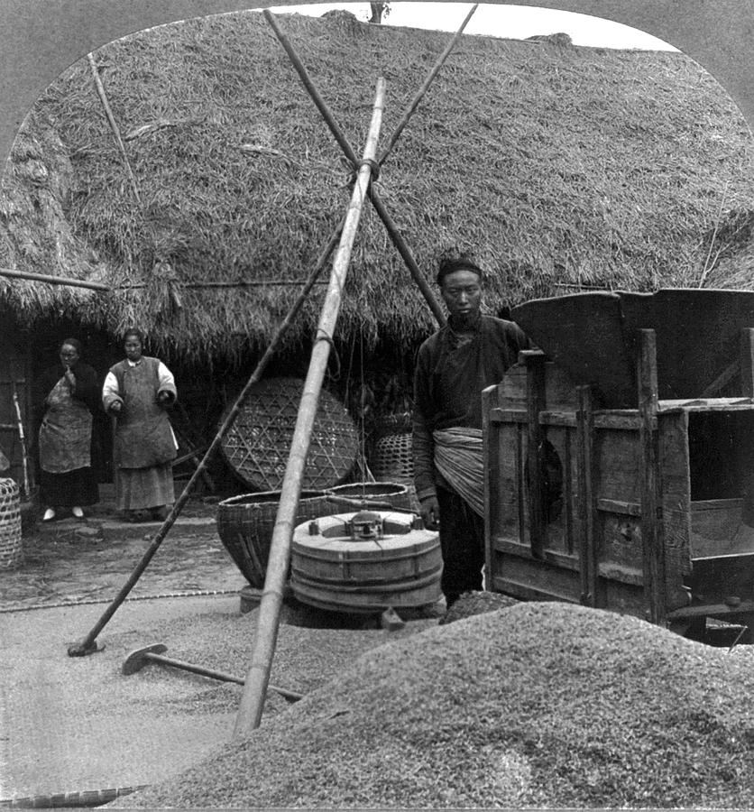 China Mill, C1908 Photograph by Granger - Fine Art America