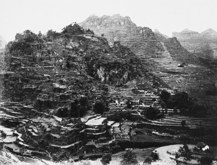 China Terraced Fields Photograph by Granger | Fine Art America